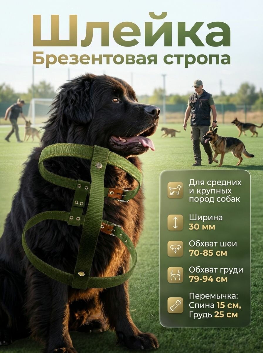 Шлейка брезентовая для крупных пород собак и щенков. Ширина 30 мм.