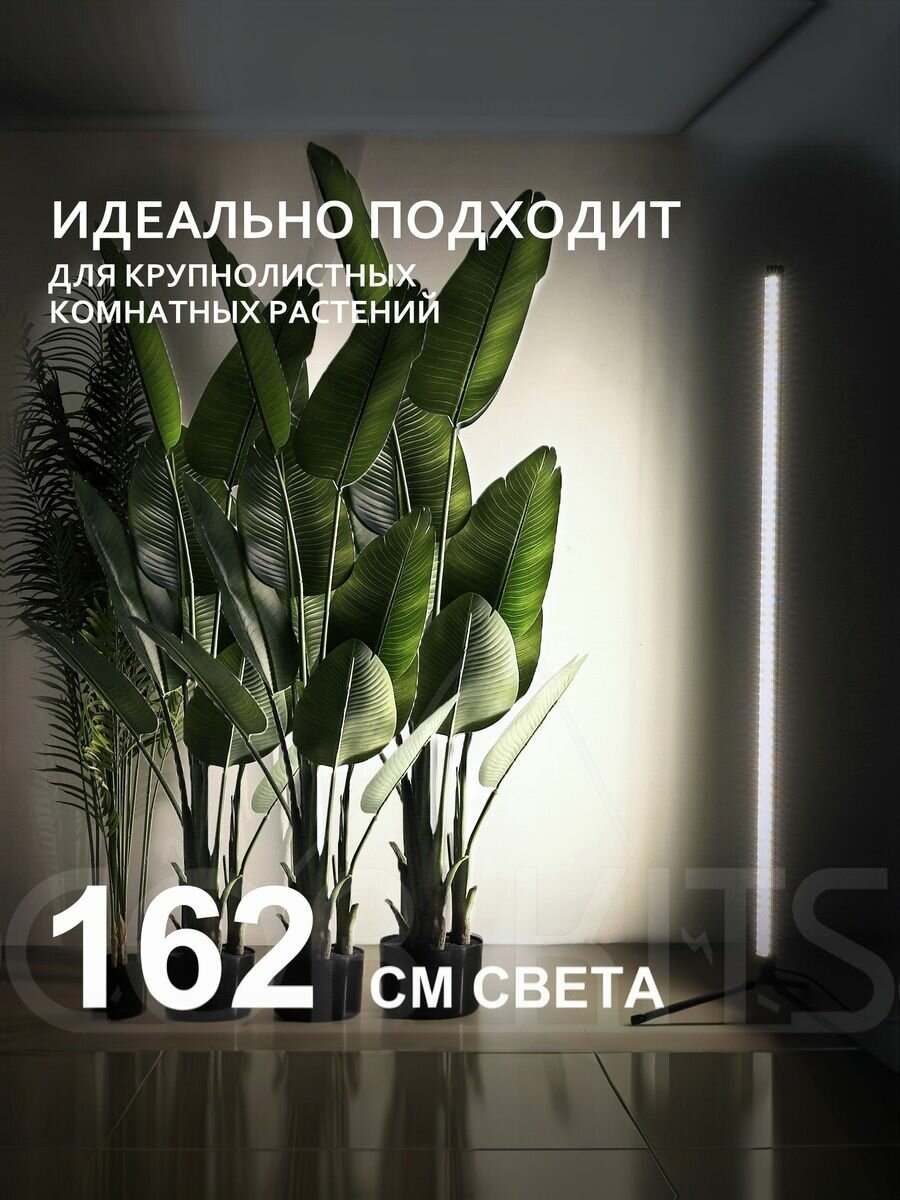 Фитолампа для растений, напольная 150см 50вт