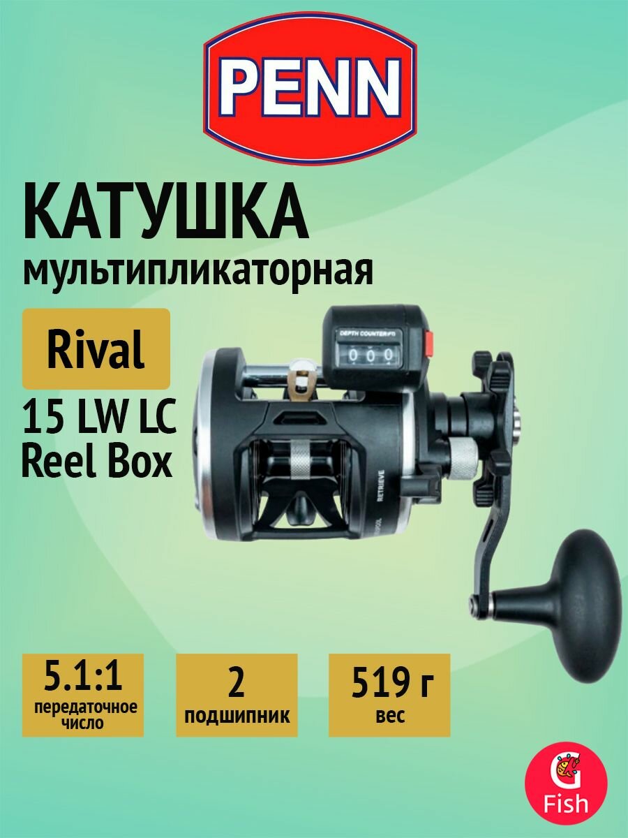 Катушка мультипликаторная Penn Rival 15 LW LC Reel Box (2 подш.)