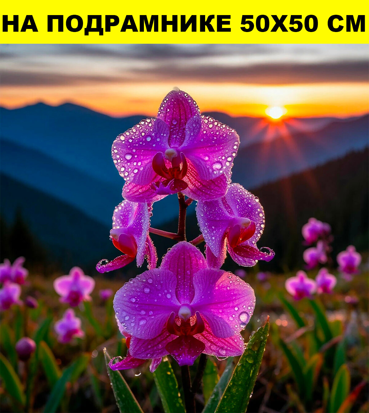 Постер на подрамнике 50х50 букет цветов, картина на стену интерьерная большая