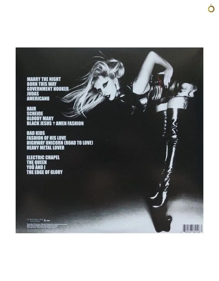 Виниловая пластинка Lady Gaga - Born This Way