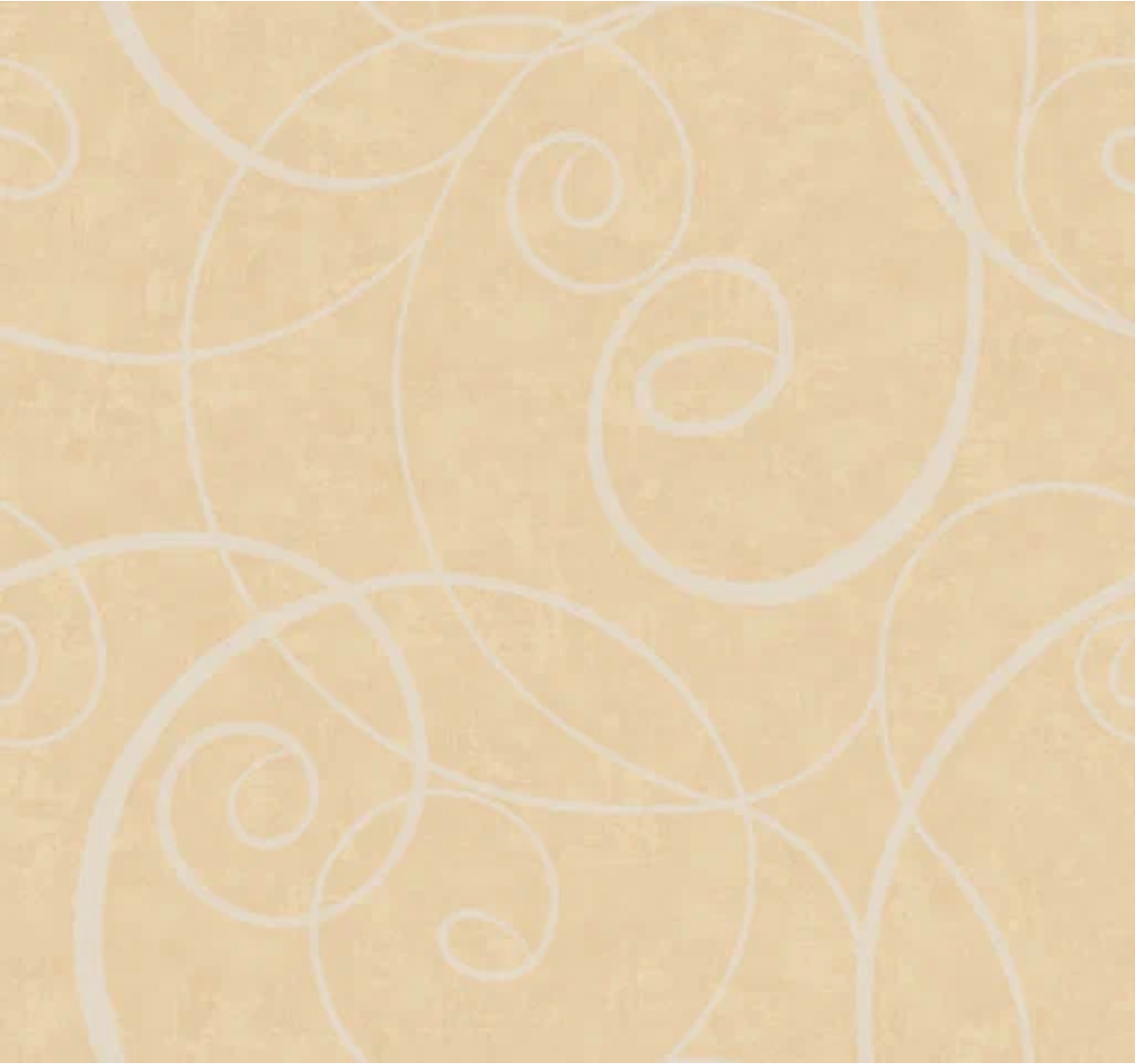 Обои York Carlisle Company Opposites Attract BW8033 C; 0,68x8,20 м.