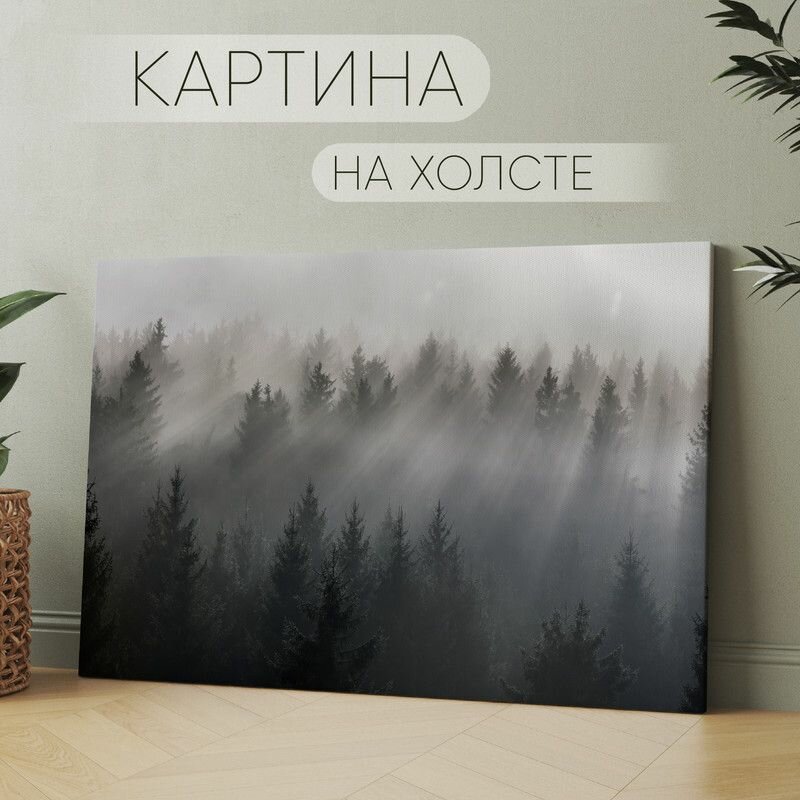 Картина на холсте Туман в лесу (14) 50х70 см