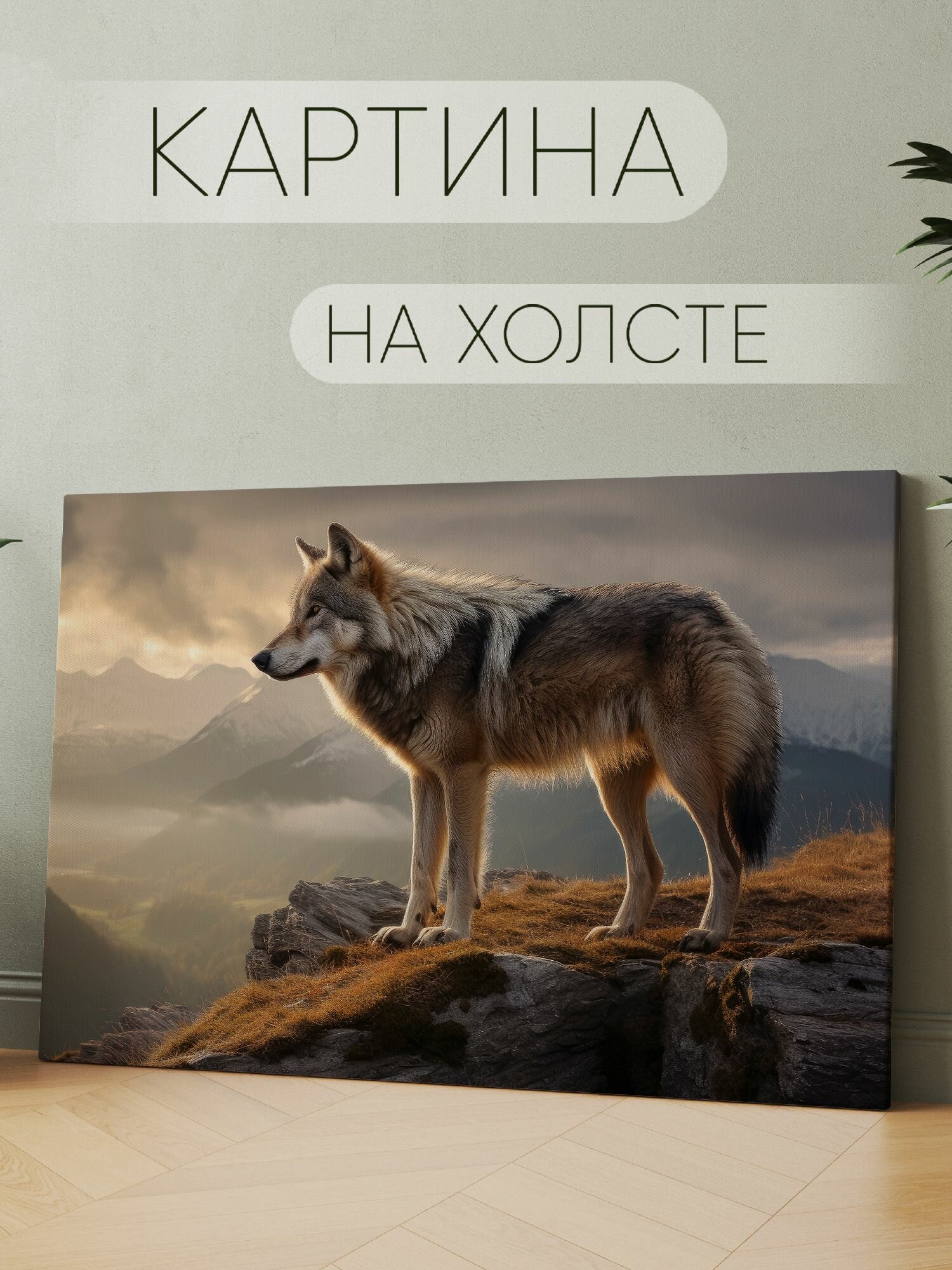 Картина на холсте дикие животные Волк (24) 50х70 см