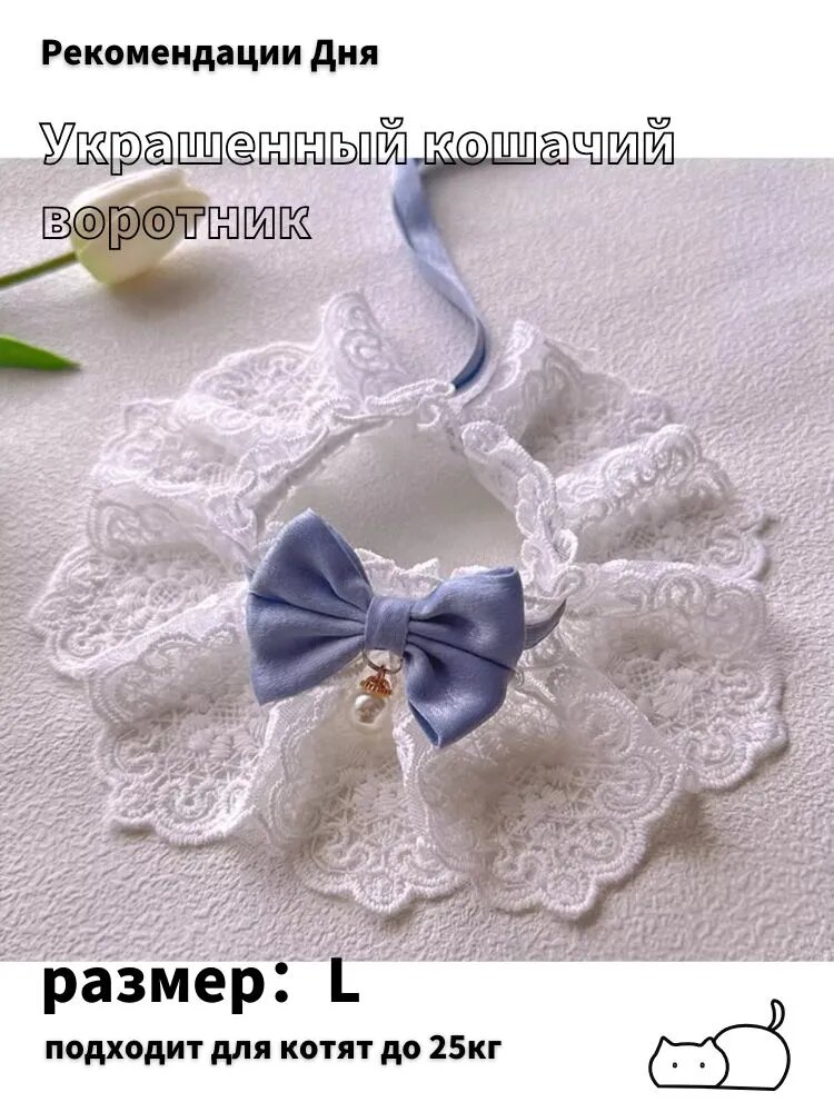 Бабочка для кота
