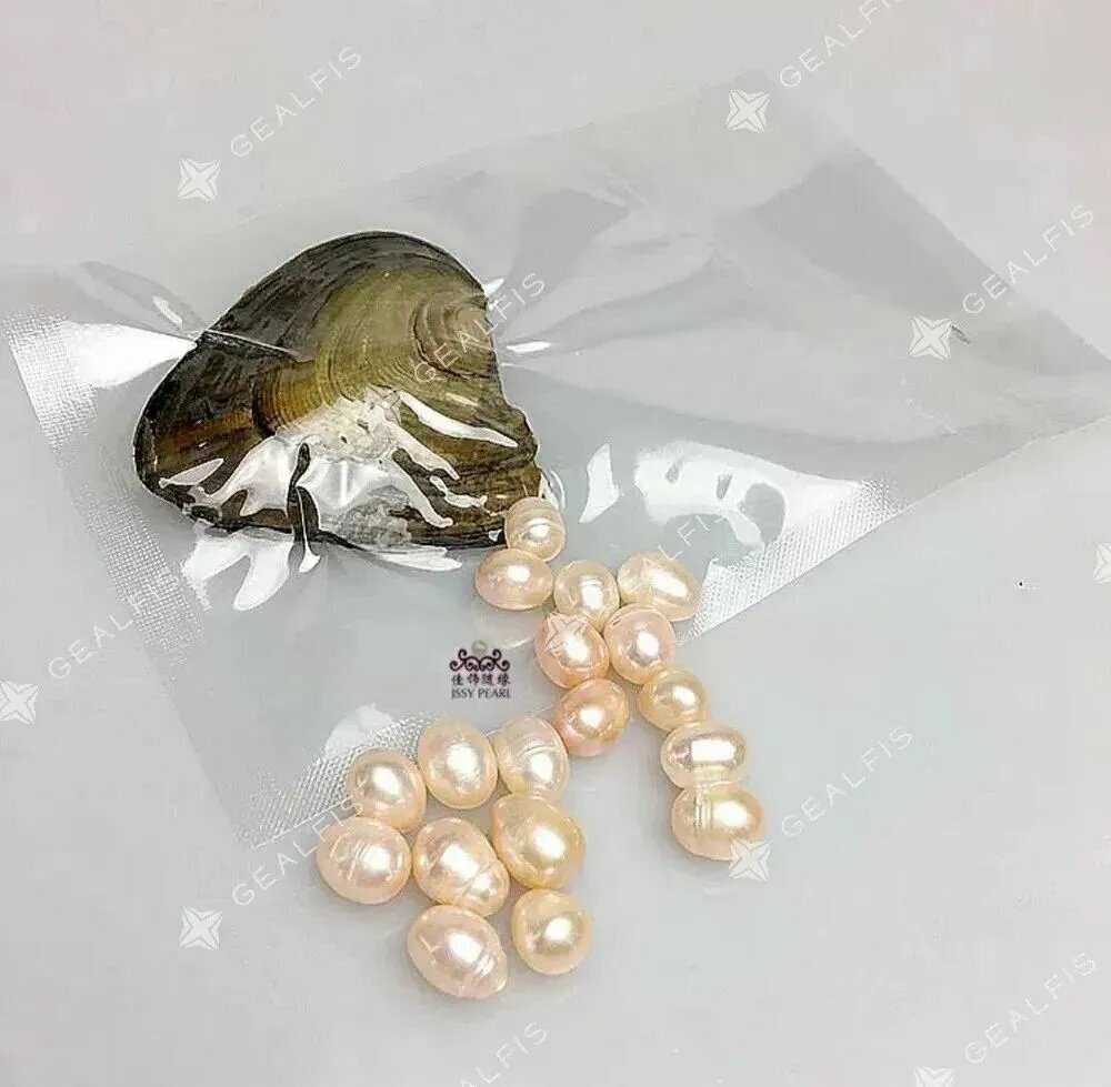 GEALFIS жемчужина в ракушке с настоящей жемчужиной 1 шт подарок на 14 февраля и 8 марта оригинал