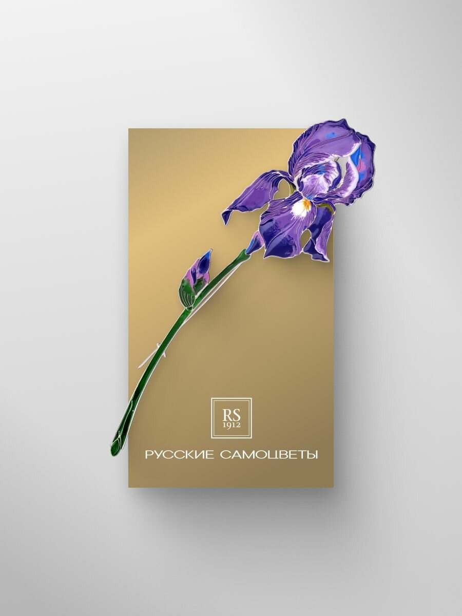 Брошь, серебро, 925 проба, эмаль