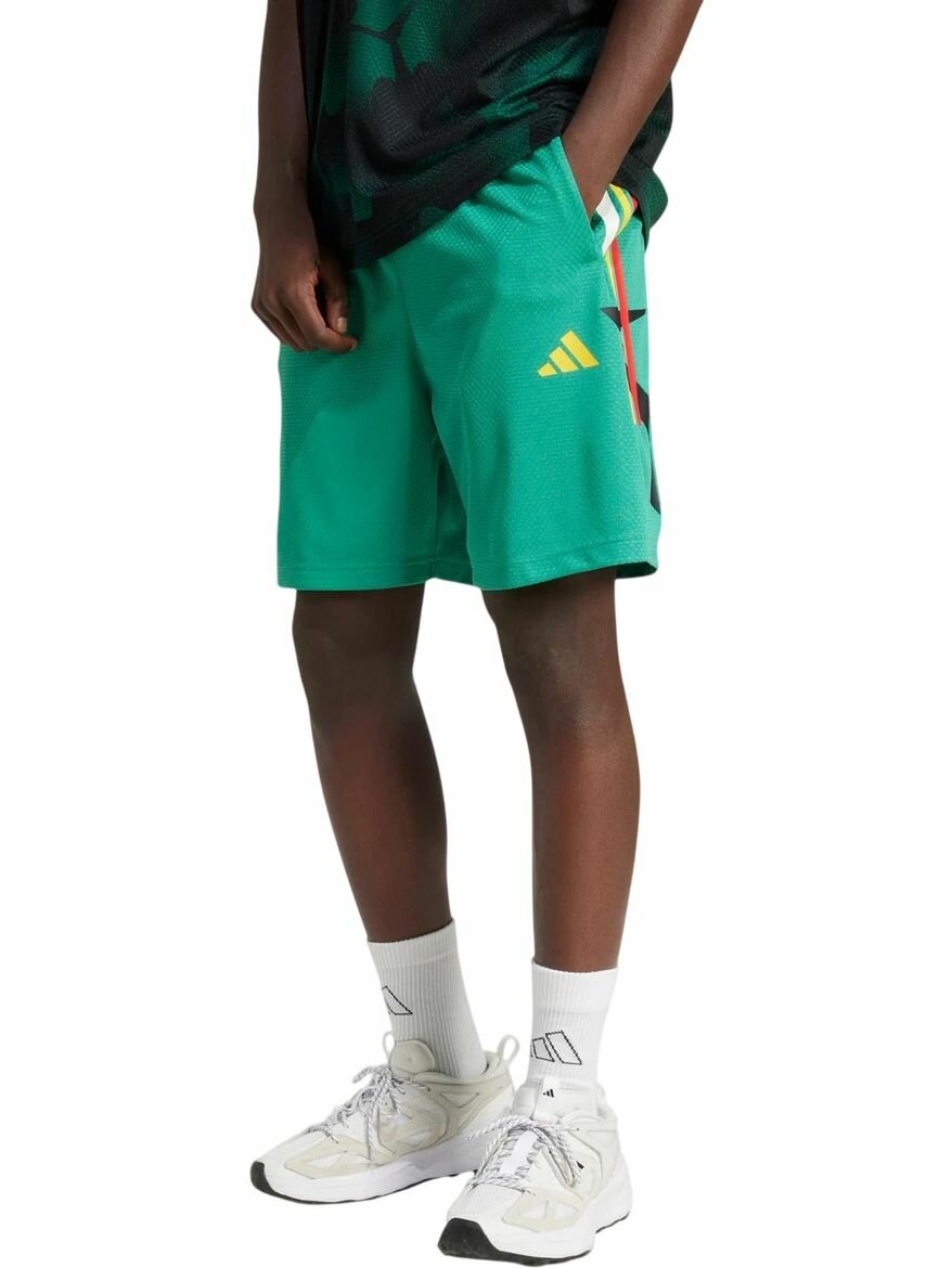 Шорты спортивные House of Tiro Nations Pack Shorts