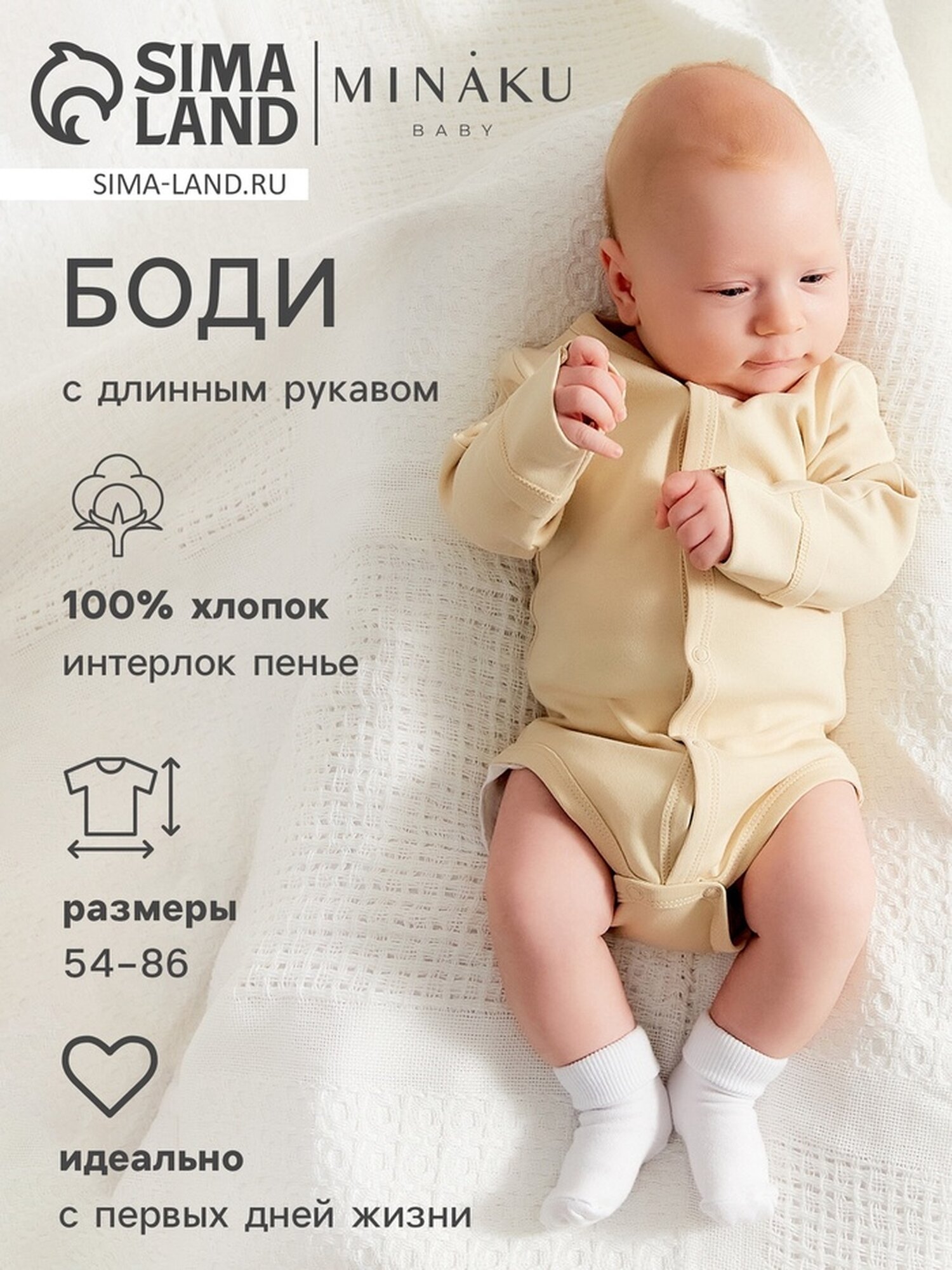 Боди