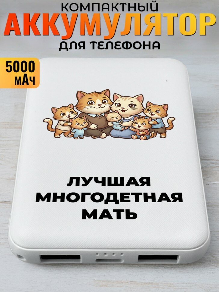 Повербанк "Лучшая многодетная мать"