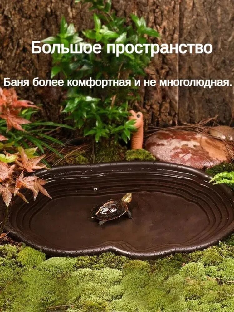 Пруд для рептилий из пластика, шоколадного цвета, размер 39x26.5x5 см для купания, кормления и питья — фото 1