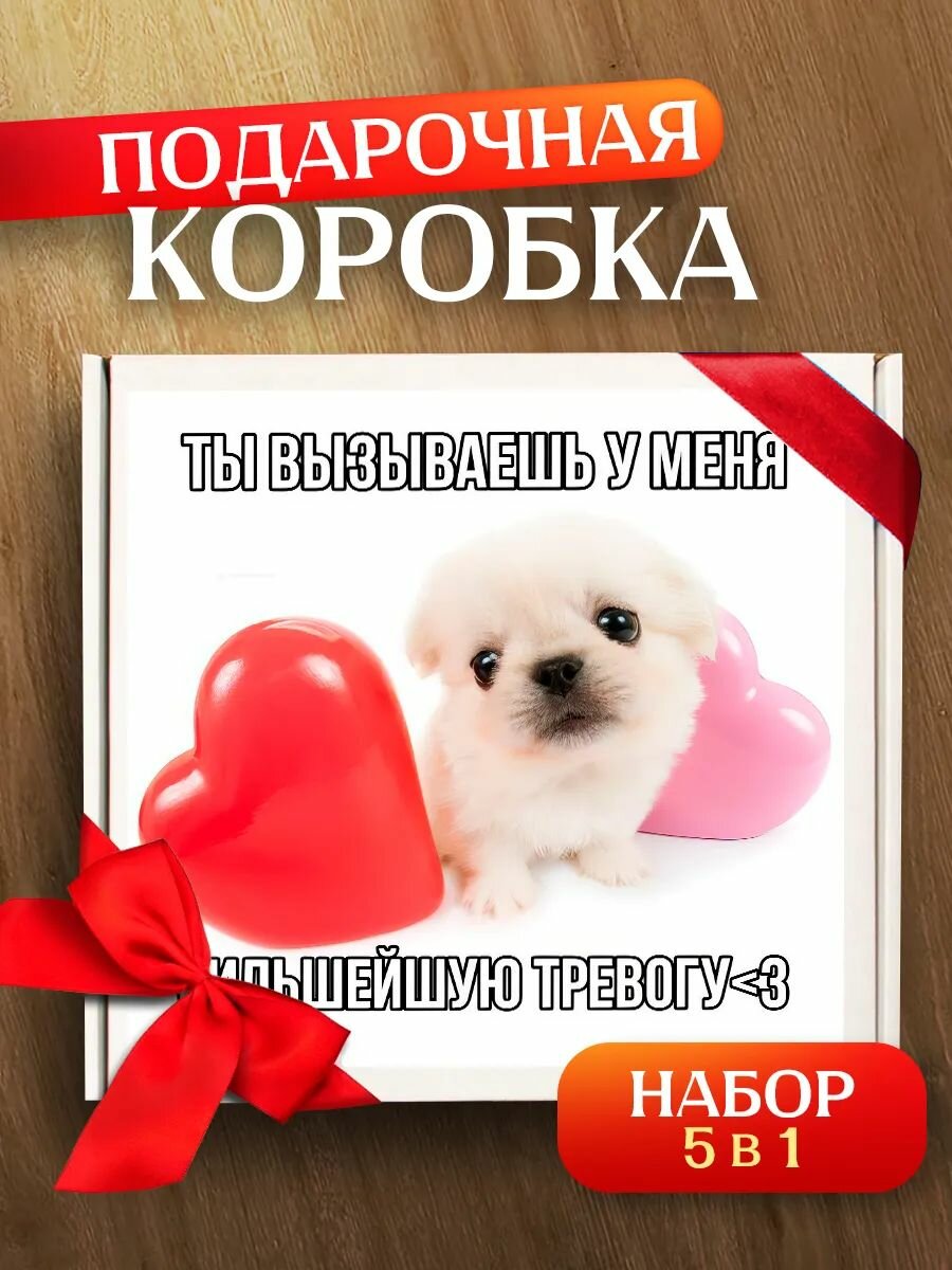 Коробка подарочная мем собачки