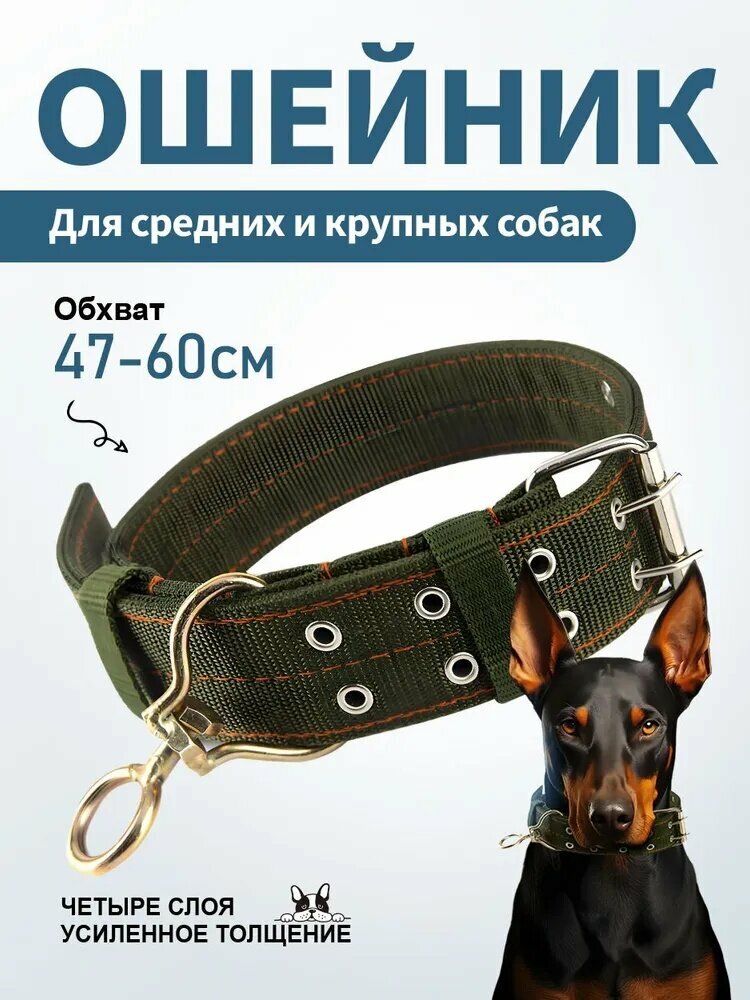 Ошейник