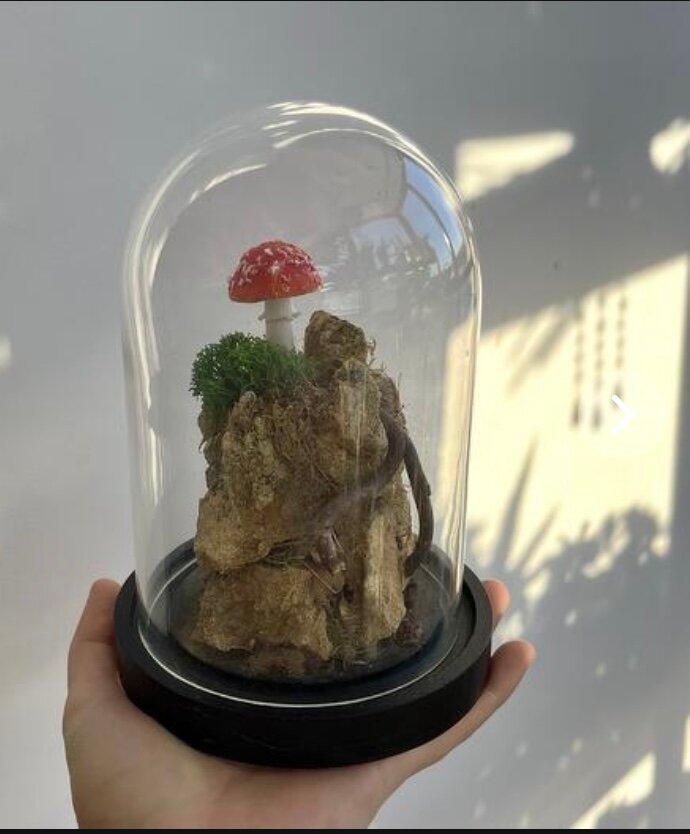 Флорариум в клоше «мухомор»