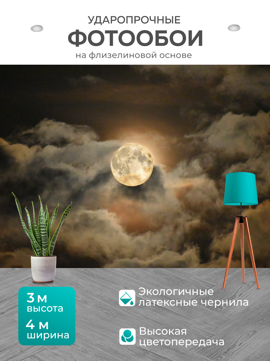 Фотообои моющиеся ударопрочные "Луна, ночь, полнолуние" 400x300 см. флизелиновые на стену