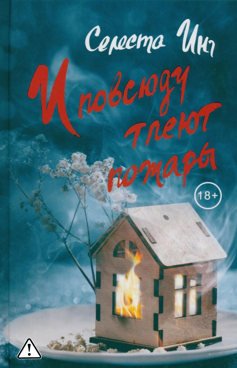 И повсюду тлеют пожары: роман. Инг С.