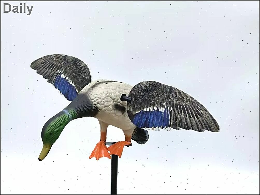 Чучело