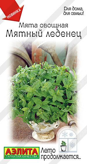 Мята овощная Мятный леденец