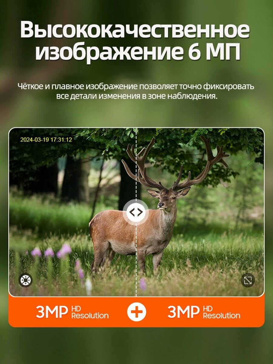 Фотоловушка — фото 1