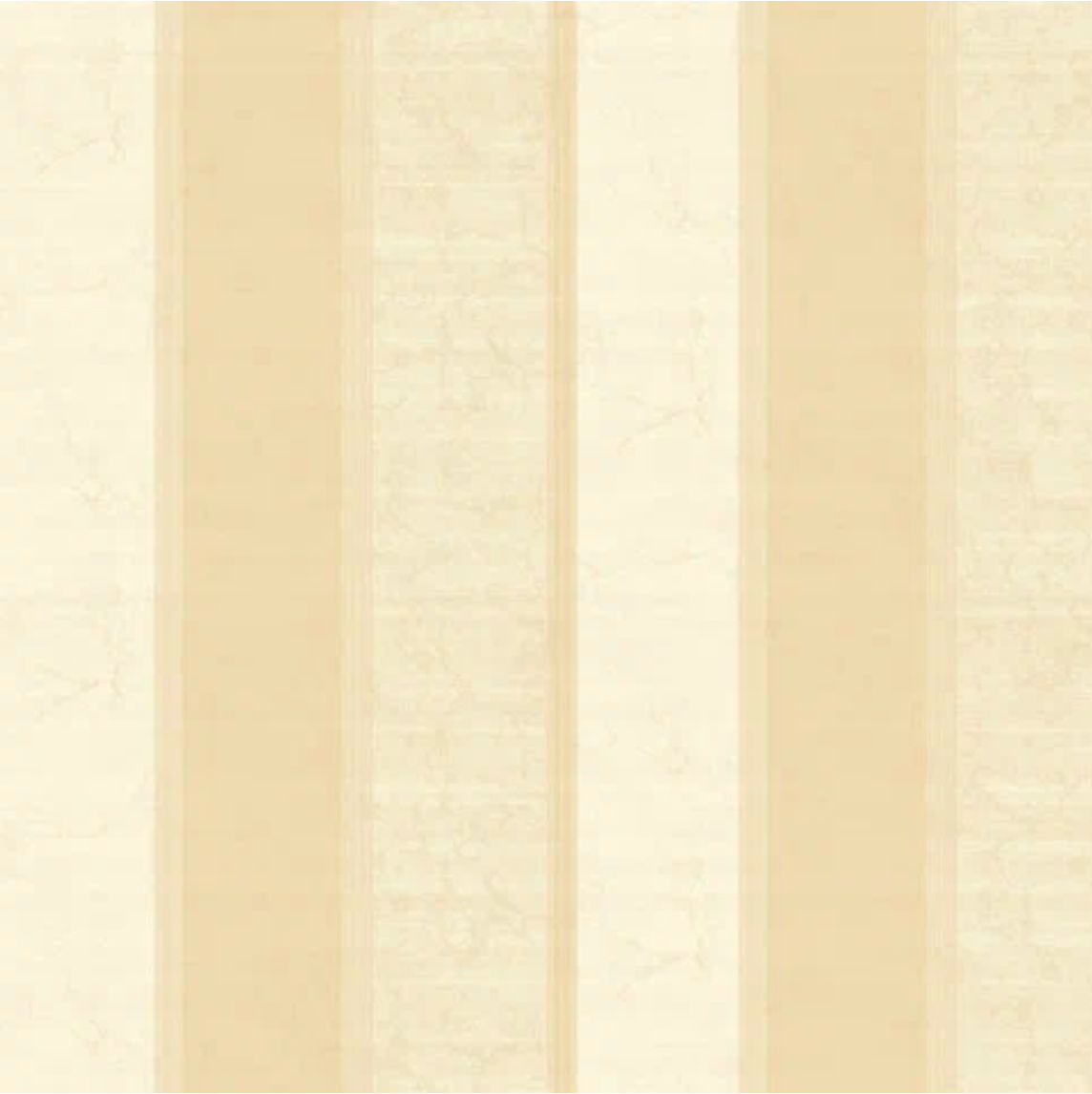 Обои York Carlisle Company Opposites Attract BW8138 C; 0,68x8,20 м.