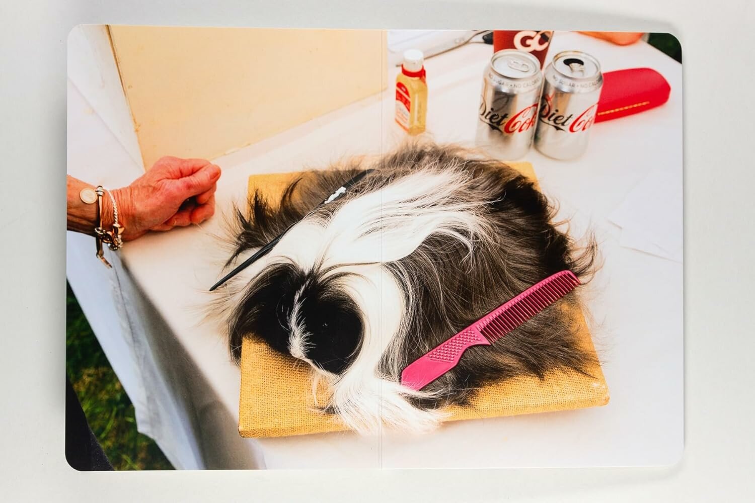 Martin Parr - Animals — фото 1