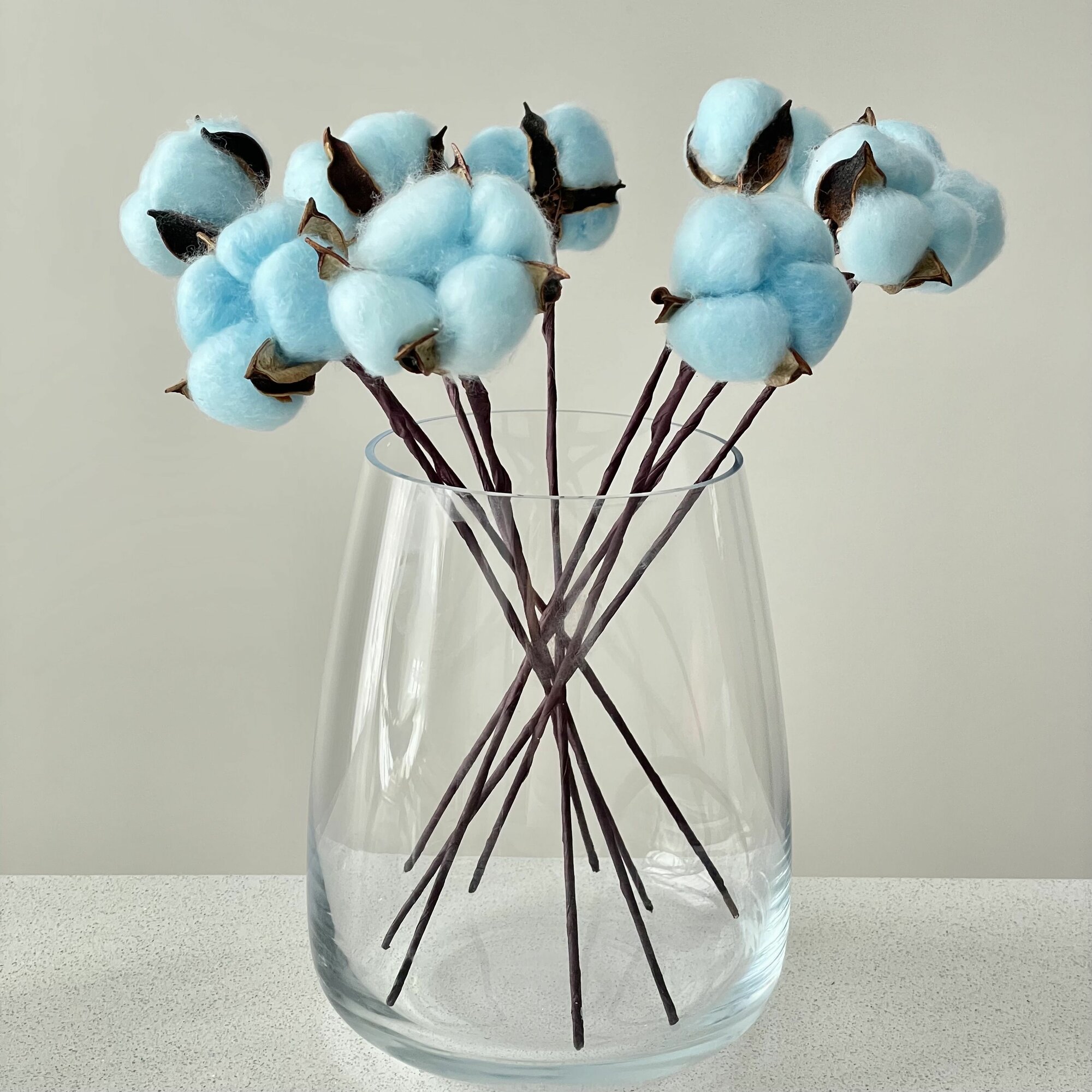 M&K HOME Сухоцветы Хлопок, 35 см, 120 гр, 10 шт
