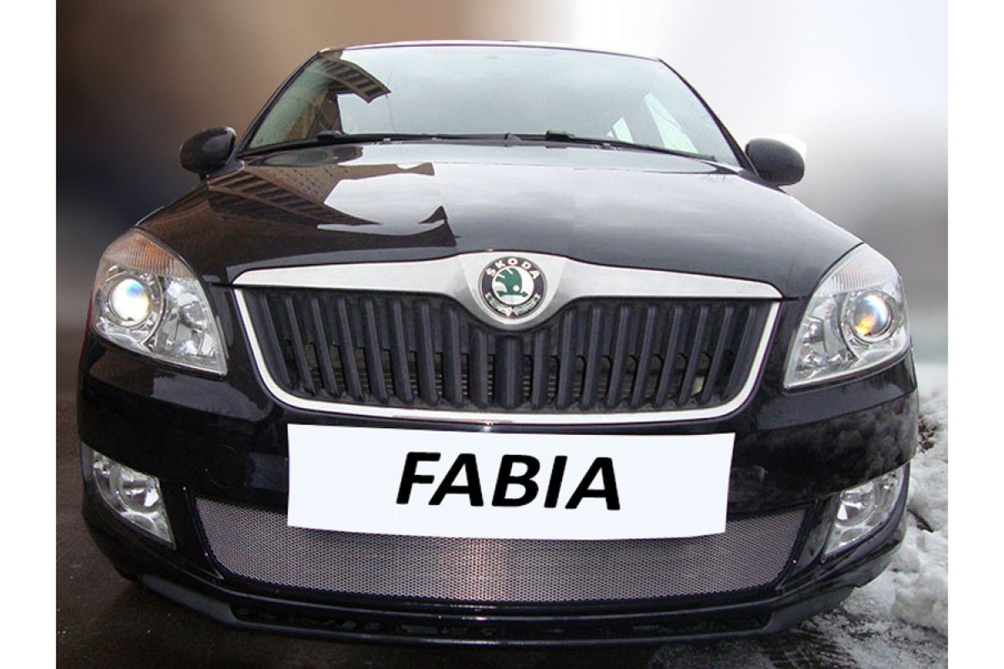 Защитная сетка радиатора с окантовкой и защелками для Skoda Fabia 2 рестайлинг 2011- / Skoda Roomster 2011-2015, хром