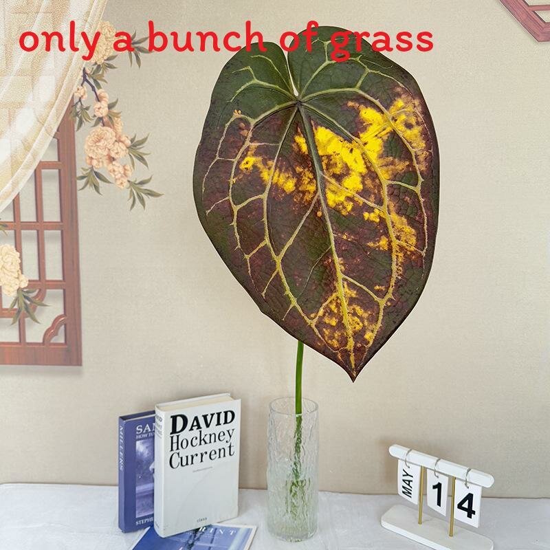 Зелень растения для дома и улицы с узором раковина черепахи и долговечным материалом огненный цвет