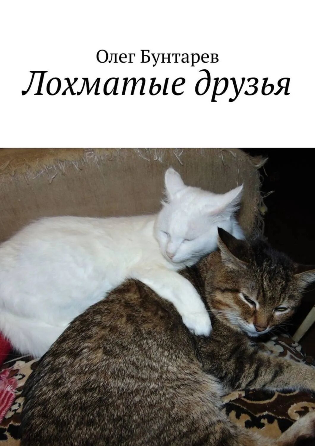Лохматые друзья [Цифровая книга]