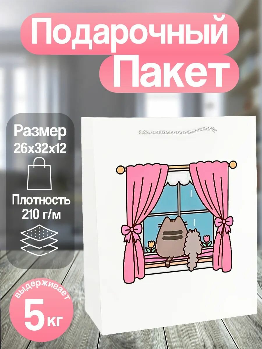 Пакет подарочный пушин кот
