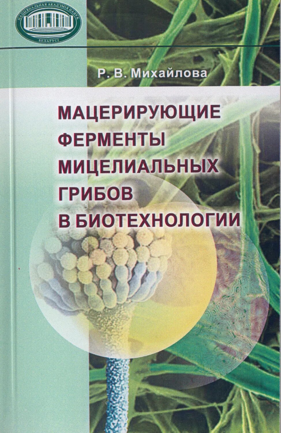 Мацерирующие ферменты мицелиальных грибов в биотехнологии [Цифровая книга]