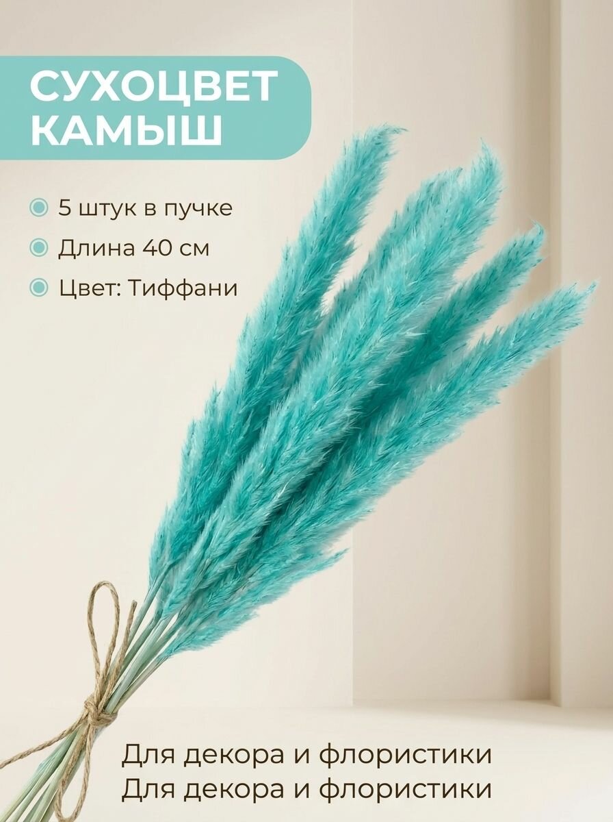 Сухоцвет "Камыш", 5 шт в пучке, тиффани, натуральный сухоцвет, для создания цветочных композиций и декора