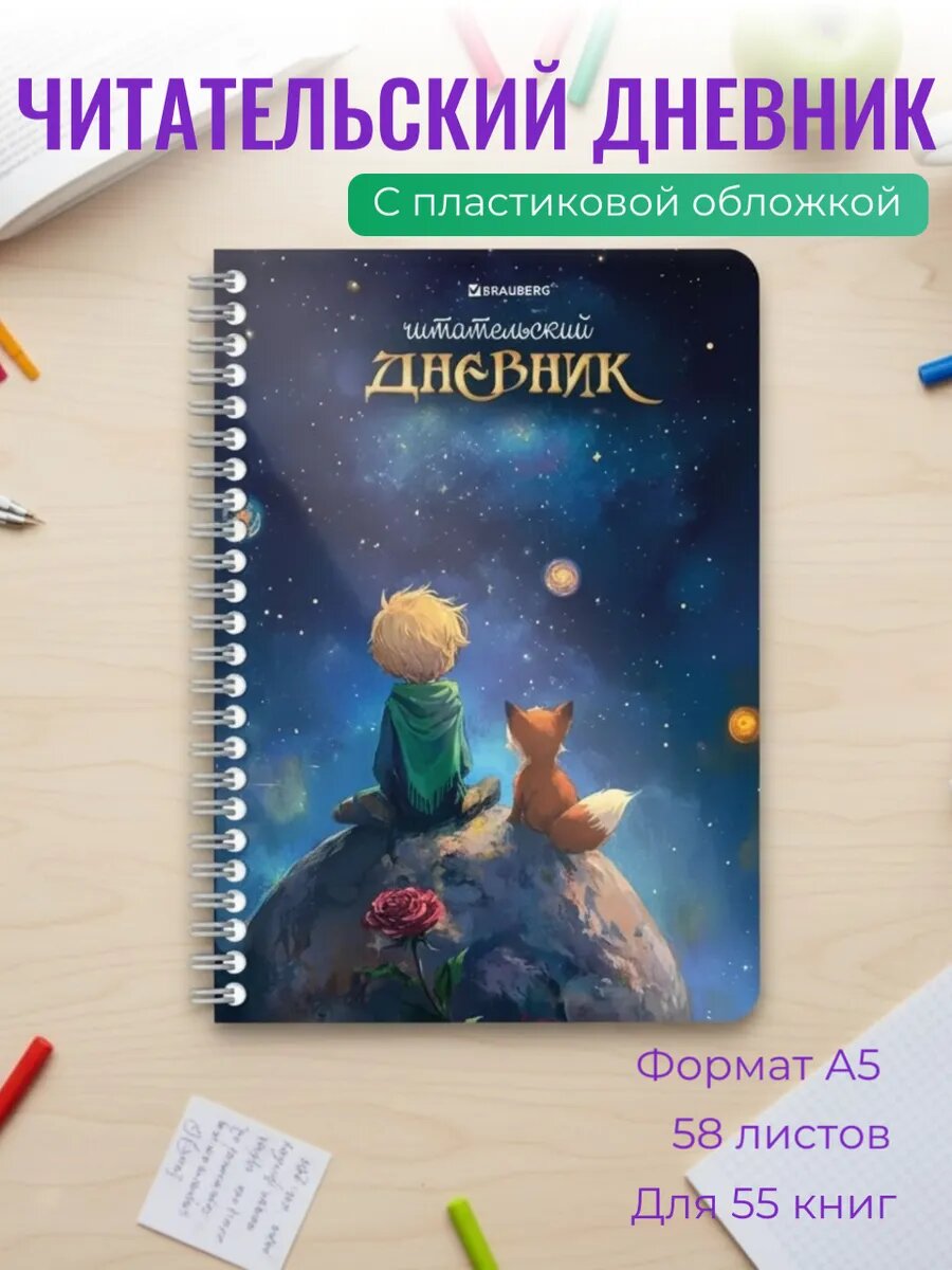 Дневник читателя школьный с пластиковой обложкой на кольцах