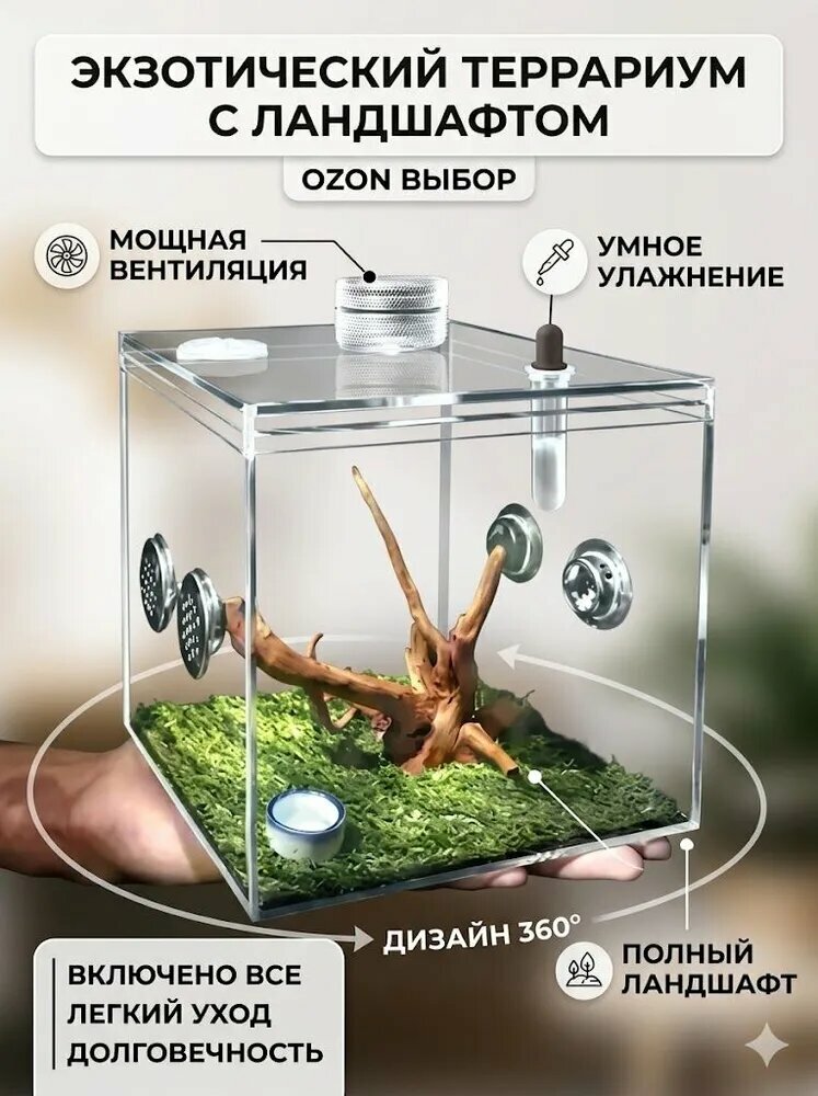Террариум для пауков с щипцами-капельницами, клетка для улиток, вольер для сверчков, среда обитания древесных тарантулов