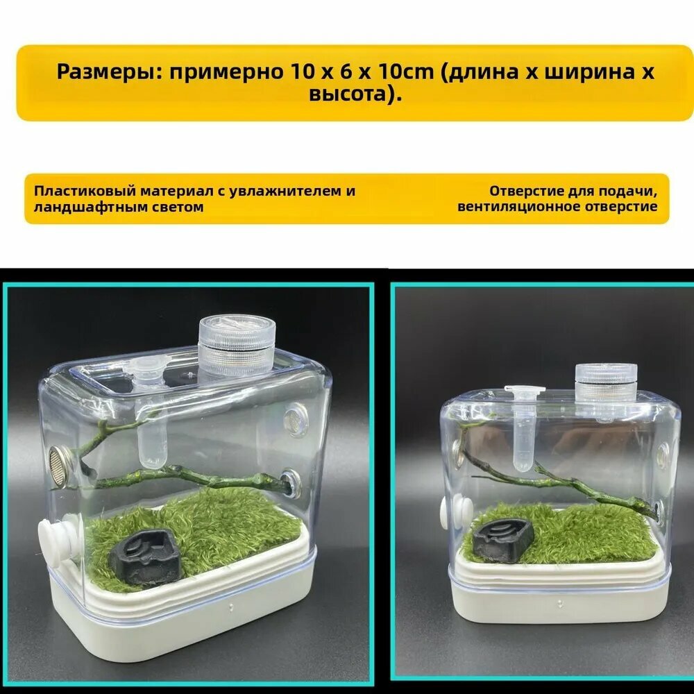 Экологичный контейнер для насекомых и наблюдения