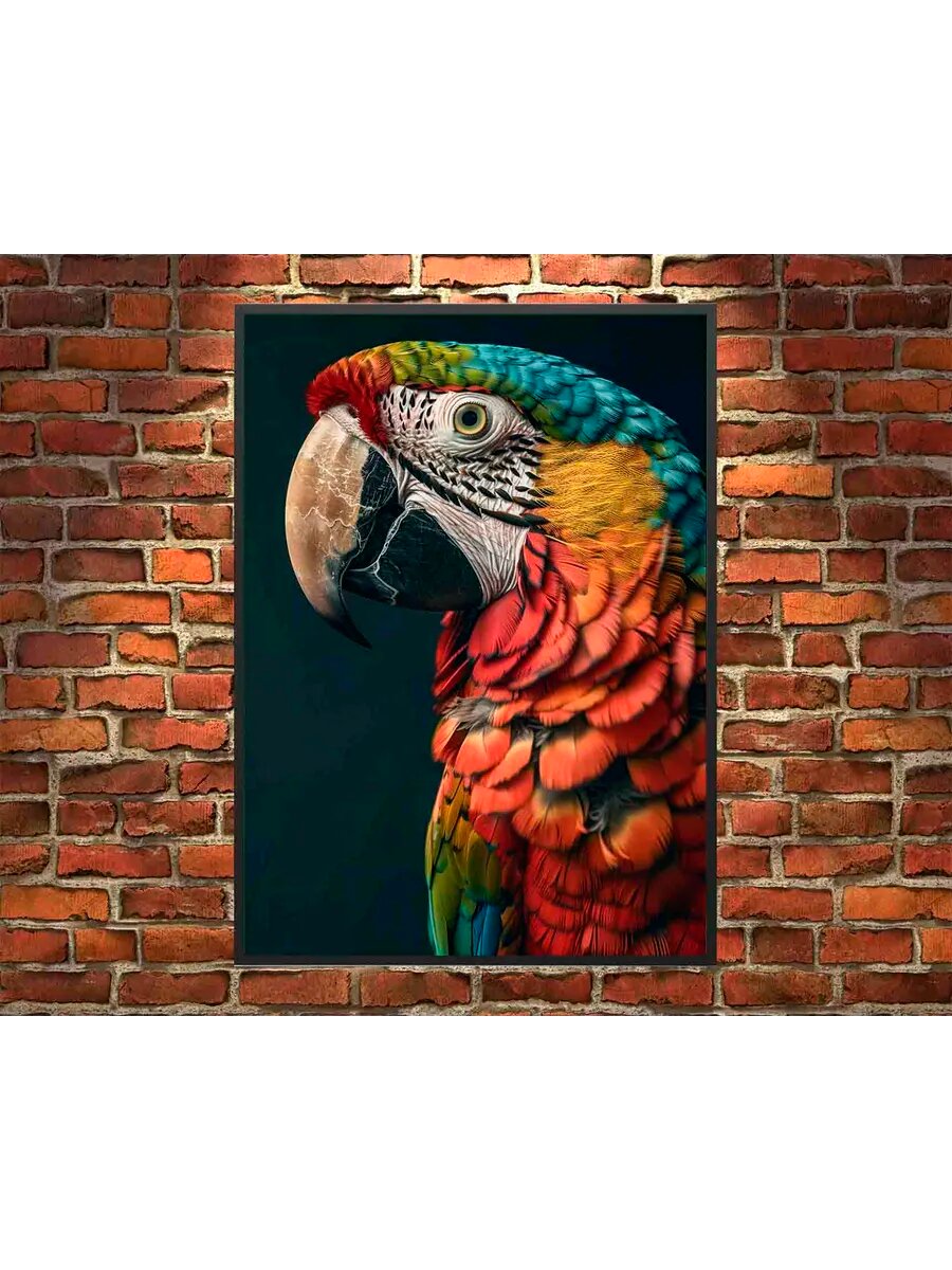 Попугай-строитель птиц 1, Плакат 30x42см