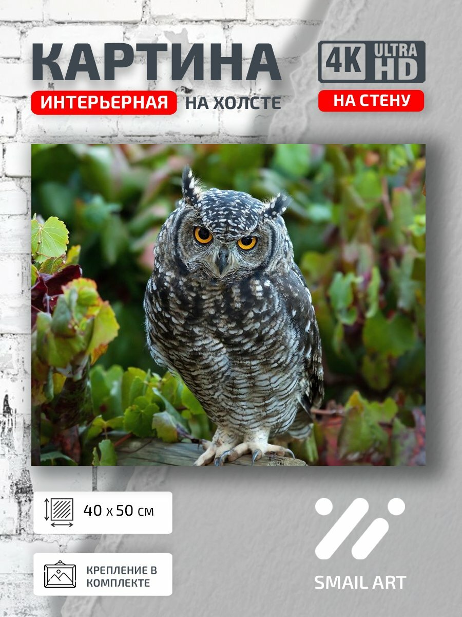 Картина на холсте интерьерная 40 на 50 на стену Взгляд Animal для детской animal style