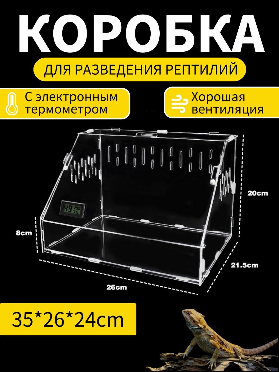Акриловый террариум для рептили, Коробка разведения рептилий, с магнитной пряжкой, прозрачная и видимая.