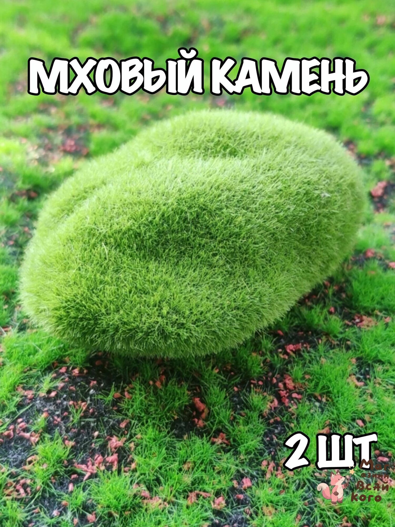 Муравьиная ферма