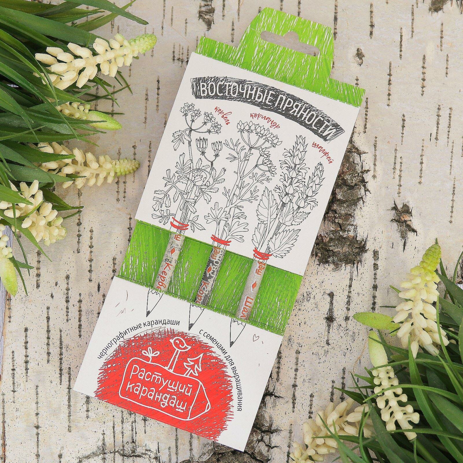 Набор карандашей Profmagic "Восточные Пряности", чернографитные, HB, заточенные, растущий эффект