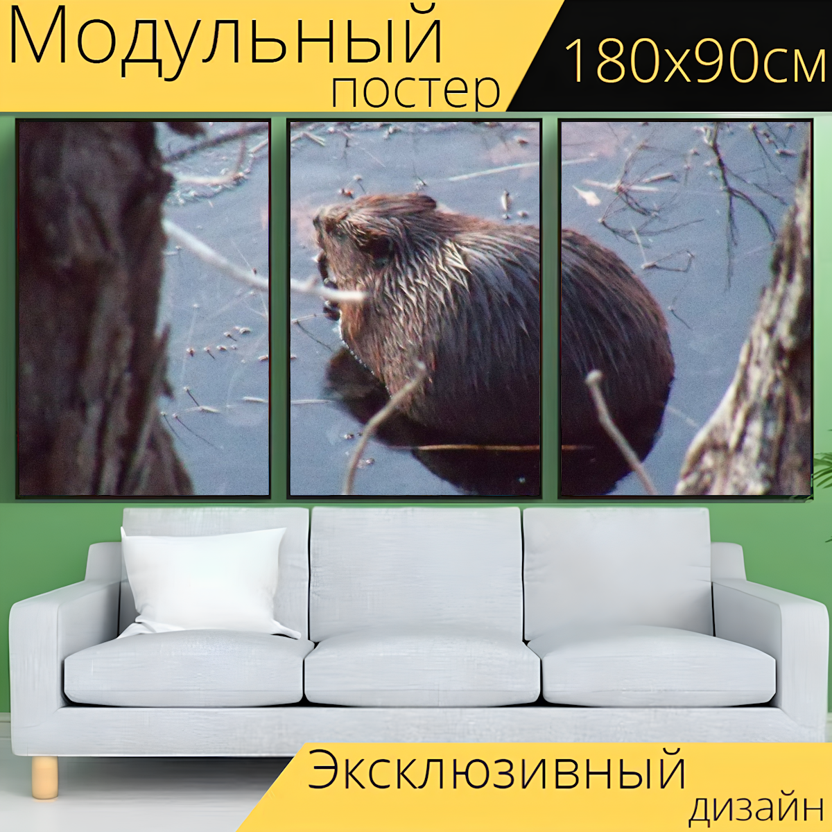 Модульный постер "Оставьте его в Beaver Фото большого бобра в Acadia National Park бобры животное животные дикая природа пруд." 180 x 90 см. для интерьера на стену в тубусе