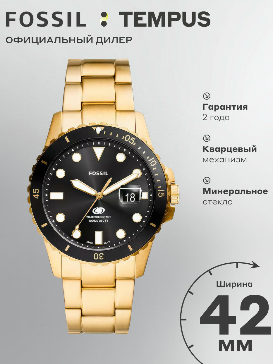 Наручные часы FOSSIL