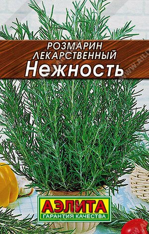 Семена аэлита "Розмарин нежность", многолетние, пряно-ароматный