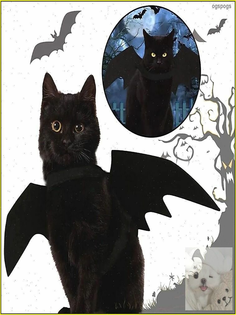 Милый костюм для кошек в форме крыльев летучей мыши/Костюм кошки на Хэллоуин