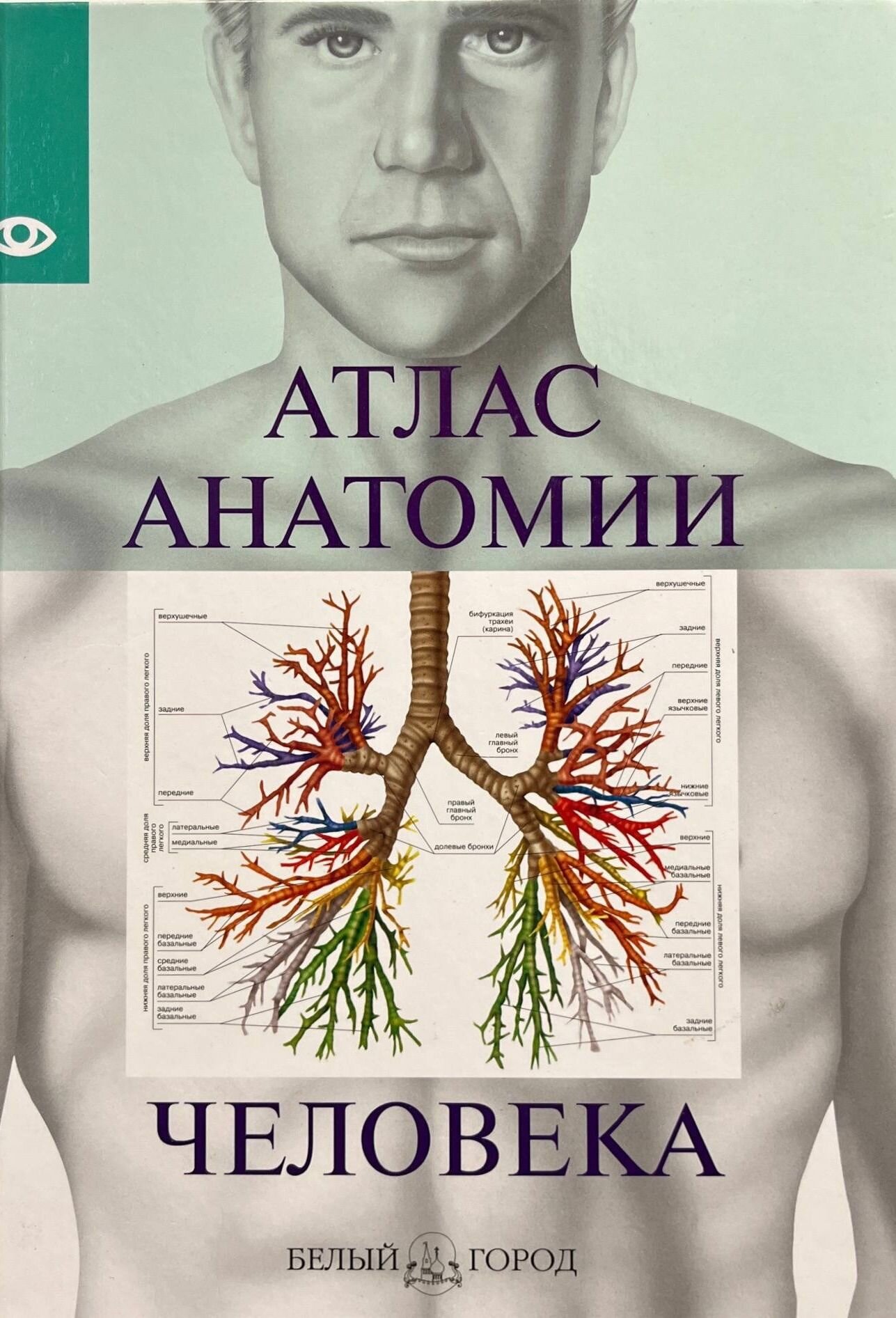 Атлас анатомии человека. Не указан. Белый город. 2009. Твердый переплет. 104 стр