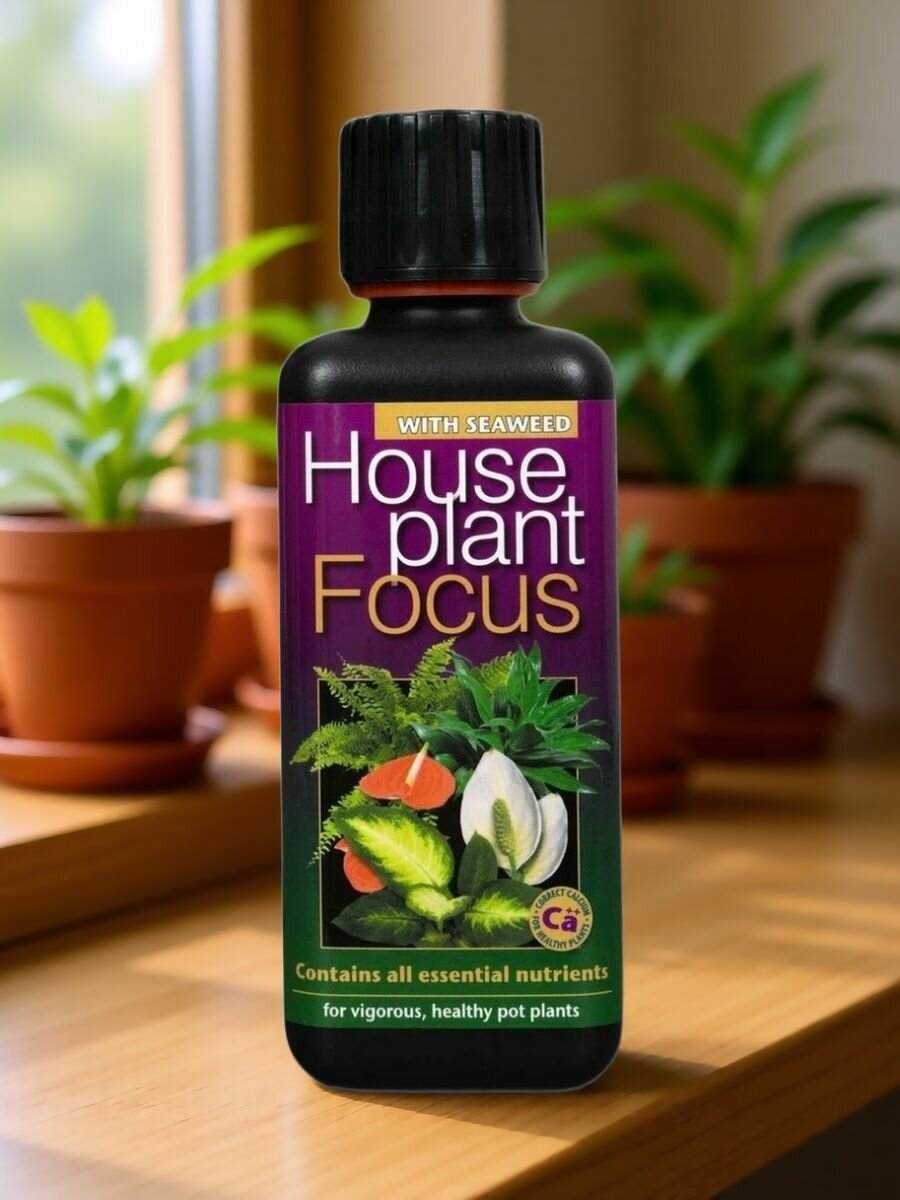 Growth Technology удобрение для комнатных растений Houseplant Focus 300 мл