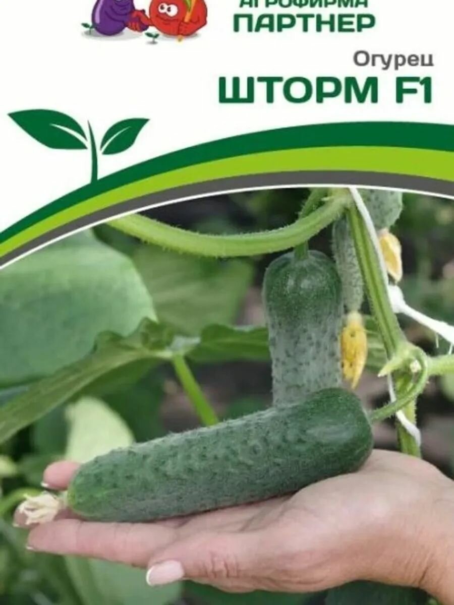 Огурец Шторм F1 10 шт. Семена Партнер