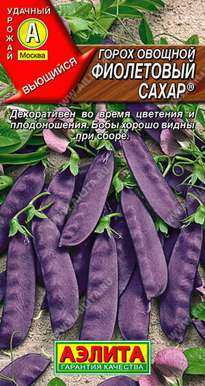 Горох овощной Фиолетовый сахар, холодостойкий, среднеспелый, лущильный