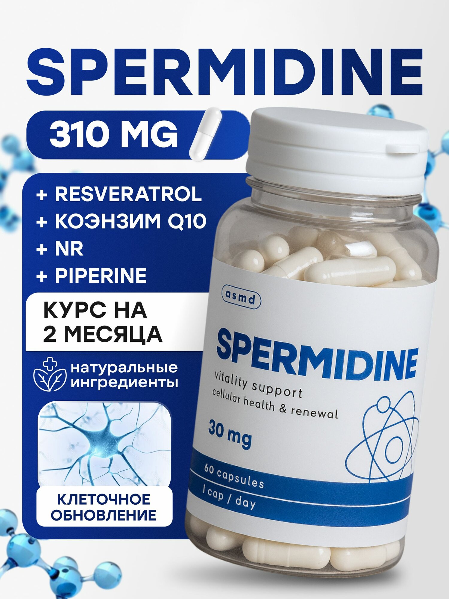 Спермидин (Spermidine) + Ресвератрол + Коэнзим Q10
