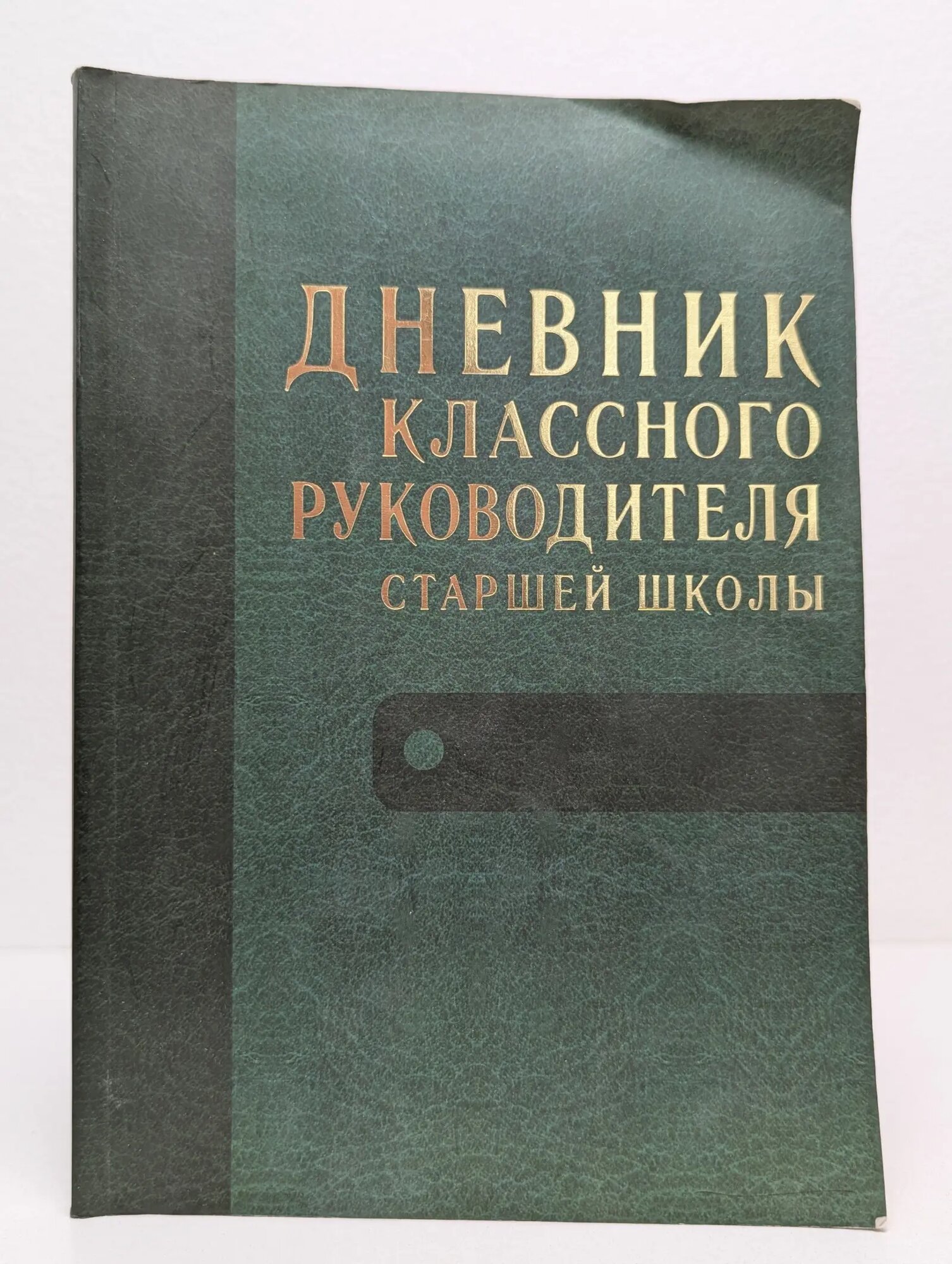 Дневник классного руководителя старшей школы Дюкина Ольга Викторовна 2009